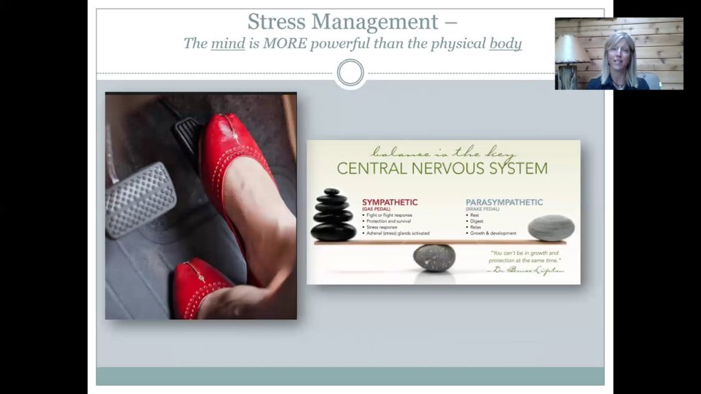 Stress-Sleep-as-Hormone-Disruptors - Lockhart Wellness Solutions ...